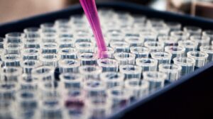 What Are Chapter 33 VA Benefits?